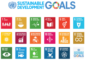 Sustainable Development Goals (SDG's) - GoodPlanet Belgium