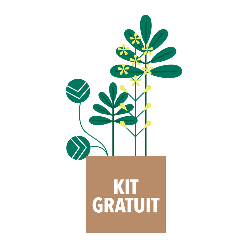 Mini Forêt : un nouveau coin nature ? - GoodPlanet Belgium