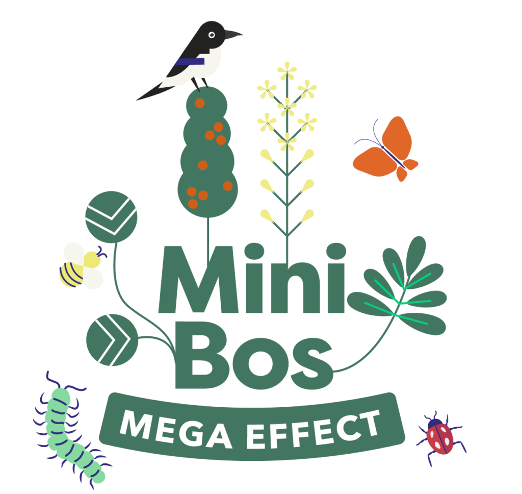 Mini Bos: gezellig, groen en gezond - GoodPlanet Belgium