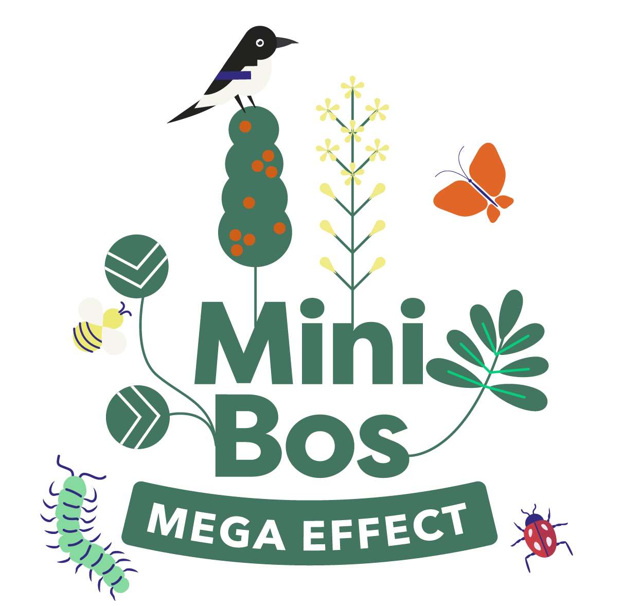 Mini Bos: gezellig, groen en gezond - GoodPlanet Belgium