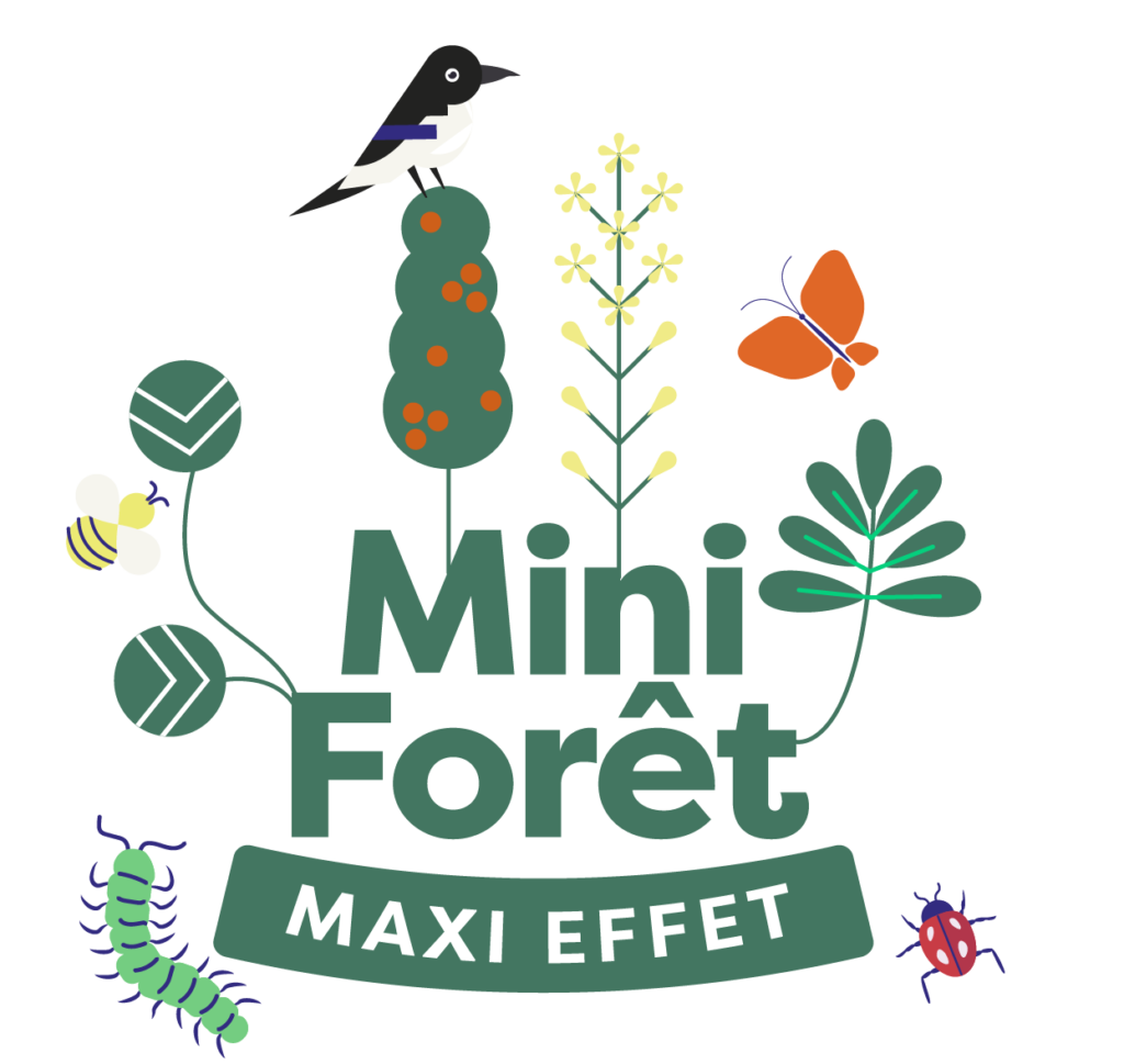 Mini Forêt : un nouveau coin nature ? - GoodPlanet Belgium